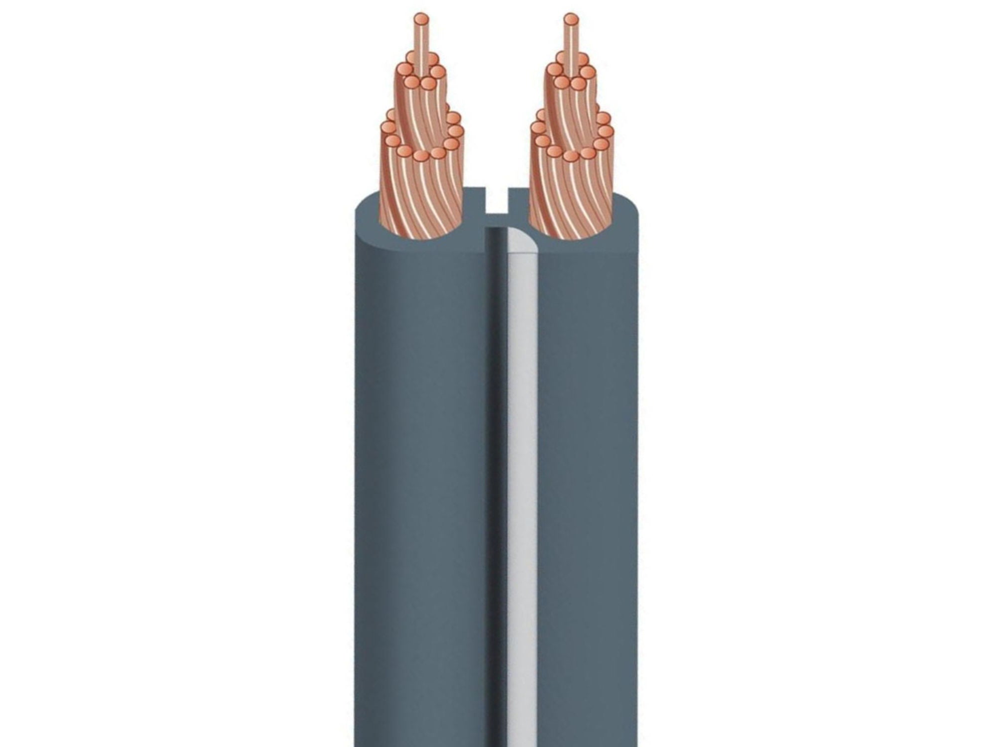 AUDIOQUEST G2 - Câble pour enceintes - Cobra.fr