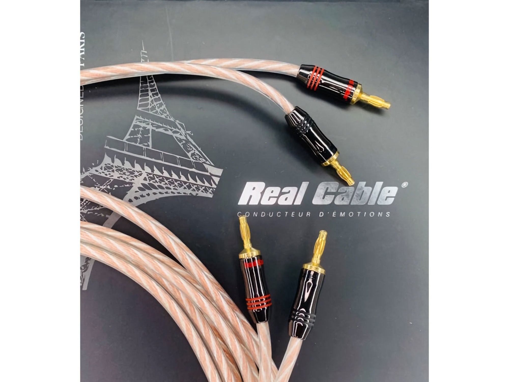 REAL CABLE PRESTIGE 600 - Câbles enceintes - Cobra.fr